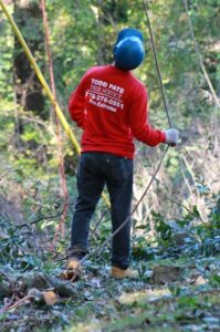 Todd Pate Tree Service - Affordable Tree Service - Free Estimates
