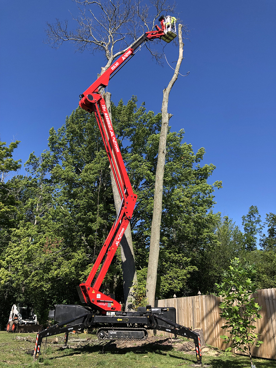 Todd Pate Tree Service - Affordable Tree Service - Free Estimates