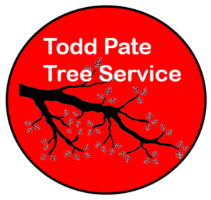 Todd Pate Tree Service - Removal, Trimming, Stump Grinding