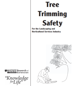 Tree Trimming - What you should know